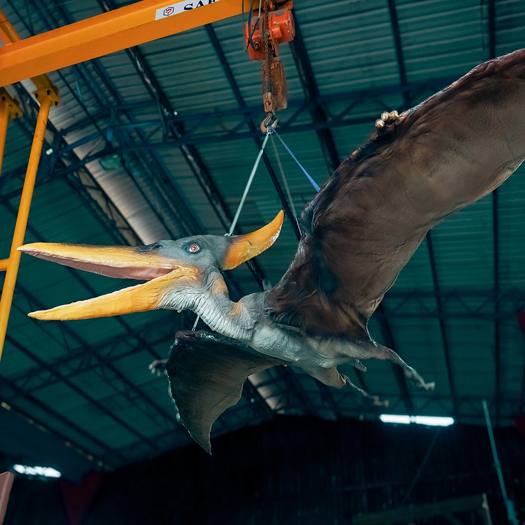 Pteranodon/Gallery | GavenLovesAnimals' Animal Kindom Wiki | Fandom