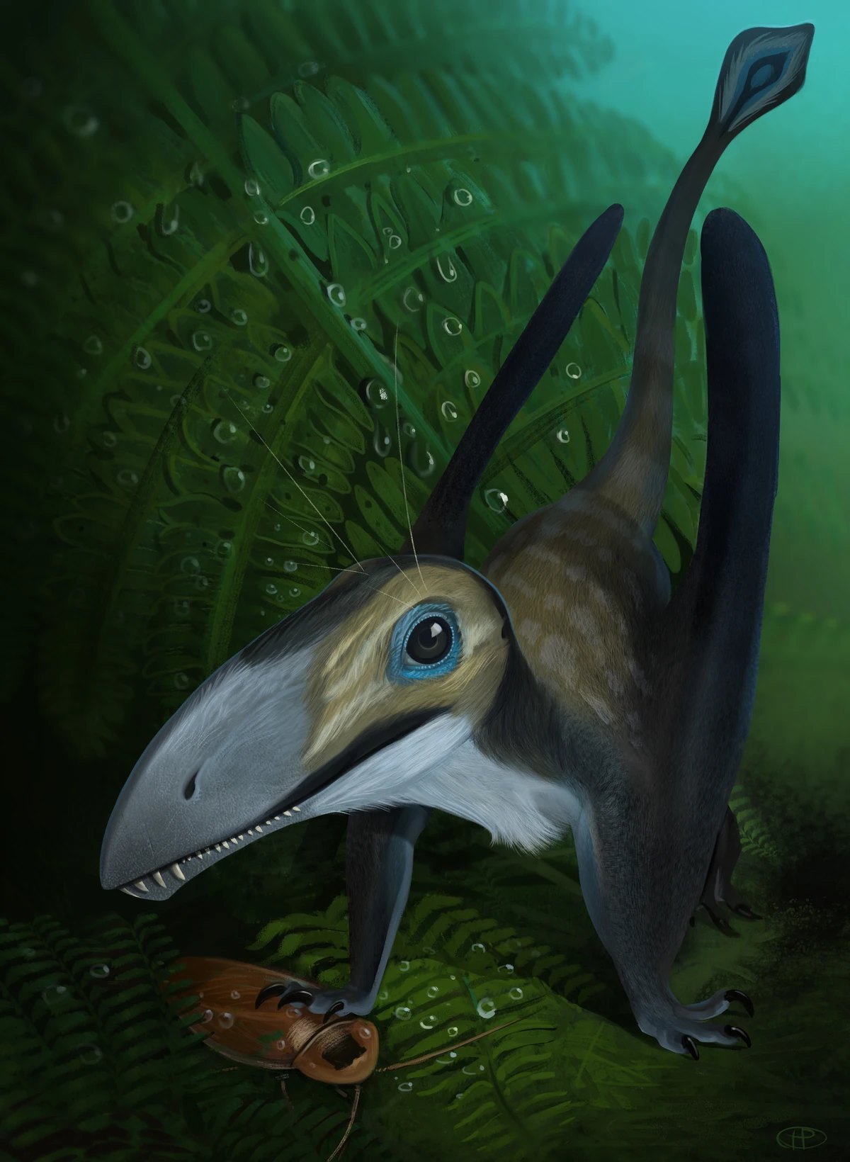 Dimorphodon | GavenLovesAnimals' Animal Kindom Wiki | Fandom