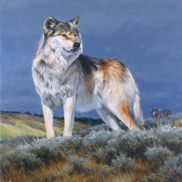 Edward's Wolf | GavenLovesAnimals' Animal Kindom Wiki | Fandom