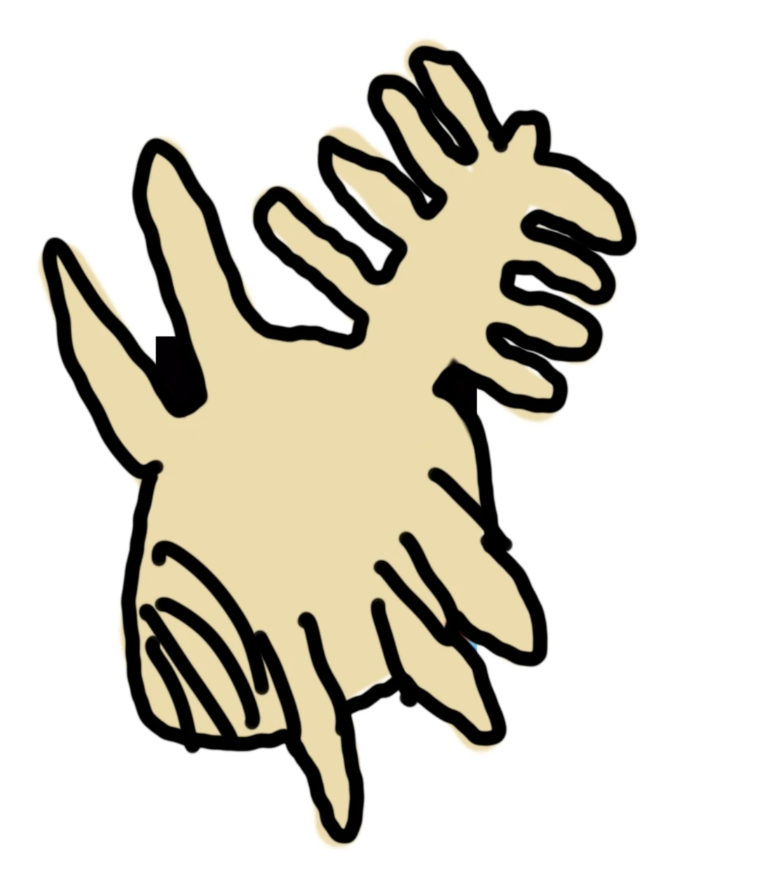 Venus Comb | GavenLovesAnimals2004 Wiki | Fandom