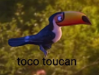 Toco Toucan | GavenLovesAnimals2004 Wiki | Fandom