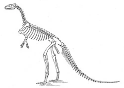 Nanosaurus | GavenLovesAnimals2004 Wiki | Fandom