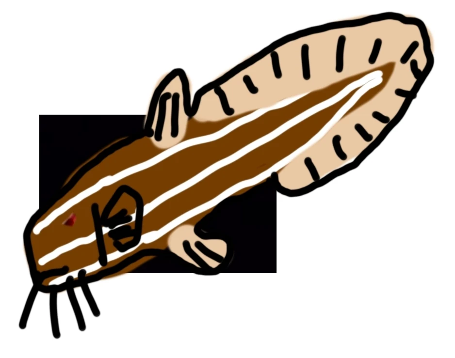 Striped Eel Catfish | GavenLovesAnimals2004 Wiki | Fandom