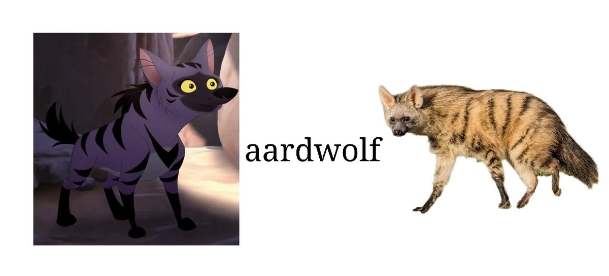 Aardwolf | GavenLovesAnimals2004 Wiki | Fandom