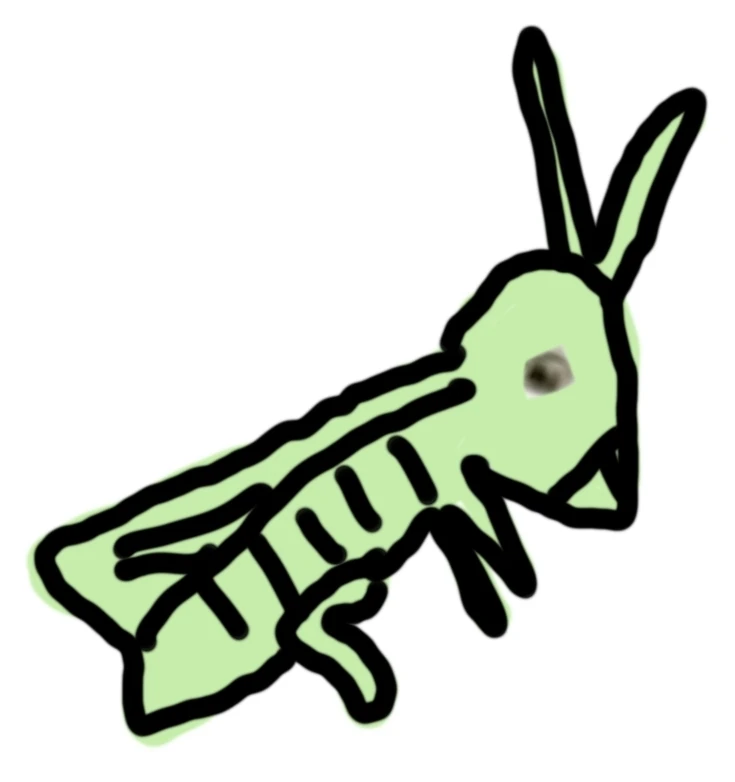 Large Marsh Grasshopper | GavenLovesAnimals2004 Wiki | Fandom