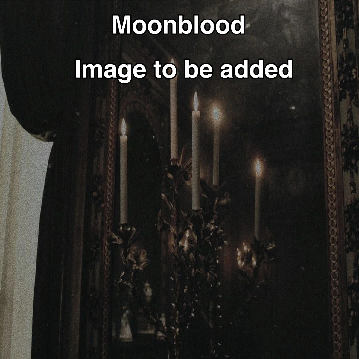 Elian Singarella | GCA Projects Wiki | Fandom