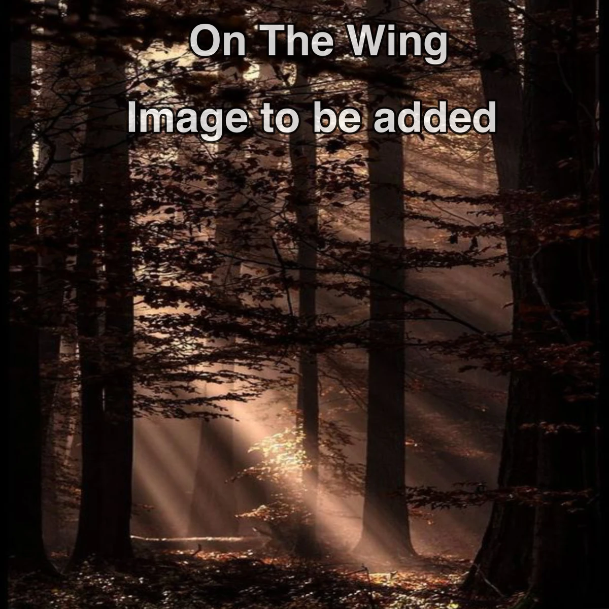 Voriya Tovarik | GCA Projects Wiki | Fandom