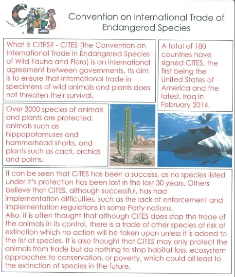 The Convention on International Trade in Endangered Species (CITES ...