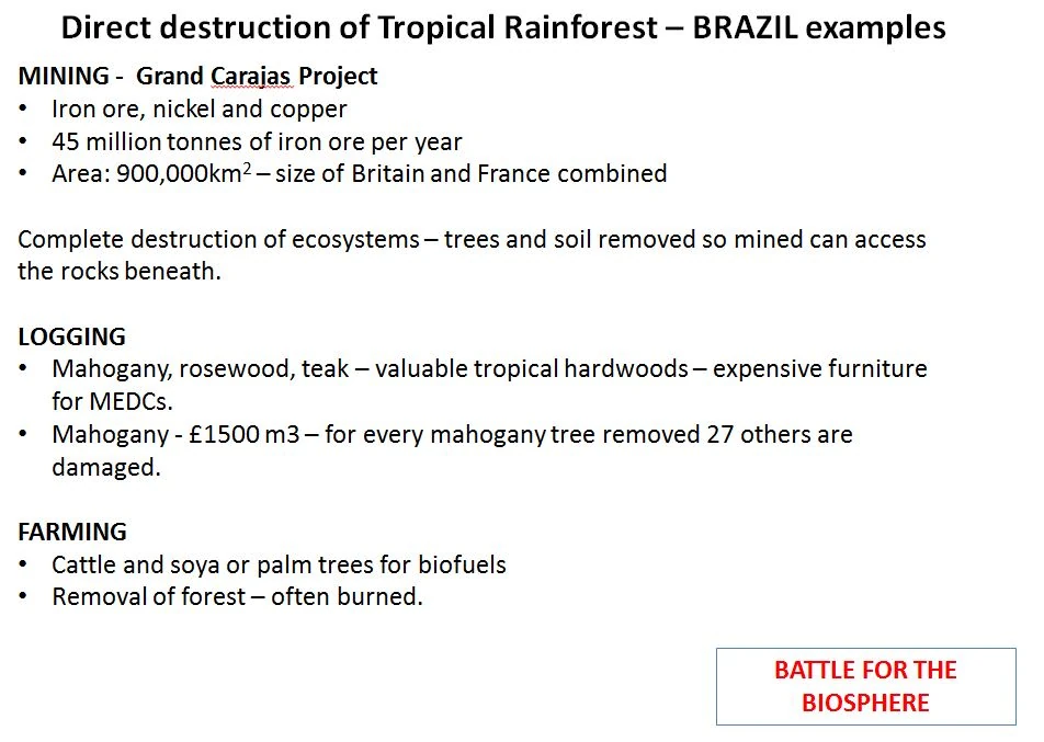 The destruction of the Amazon rainforest in Brazil | GCSE Geography ...