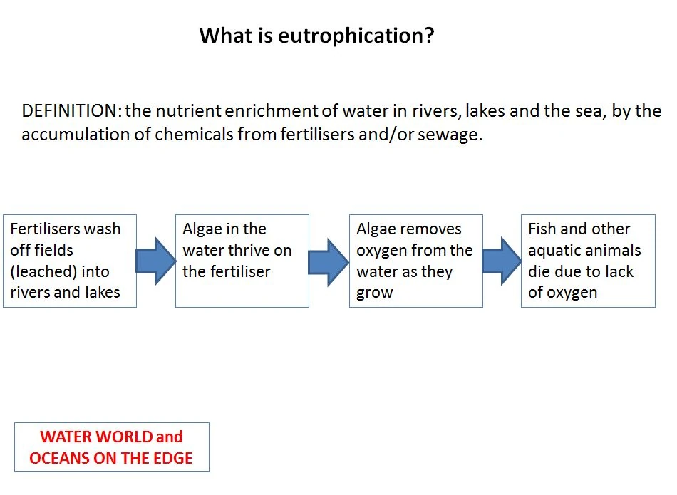 Eutrophication | GCSE Geography Case Studies - Rougemont Wiki | Fandom