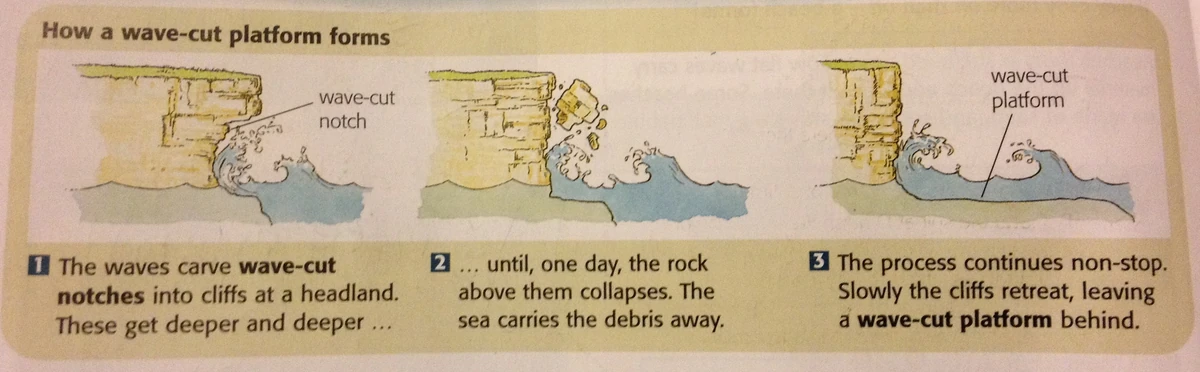 Wave-cut platforms | GCSE Geography Case Studies - Rougemont Wiki | Fandom