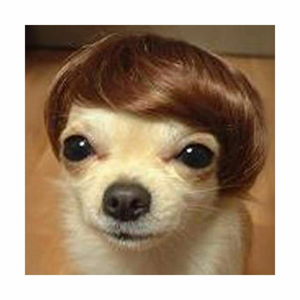 Kevin | Glrg'n Cinematic Universe Wiki | Fandom