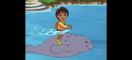 Manatee's Mermaid Rescue | Go, Diego, Go! Wiki | Fandom