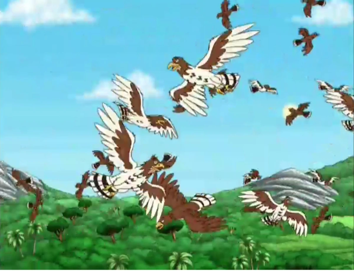 Jorge the Little Hawk Learns to Migrate! | Go, Diego, Go! Wiki | Fandom