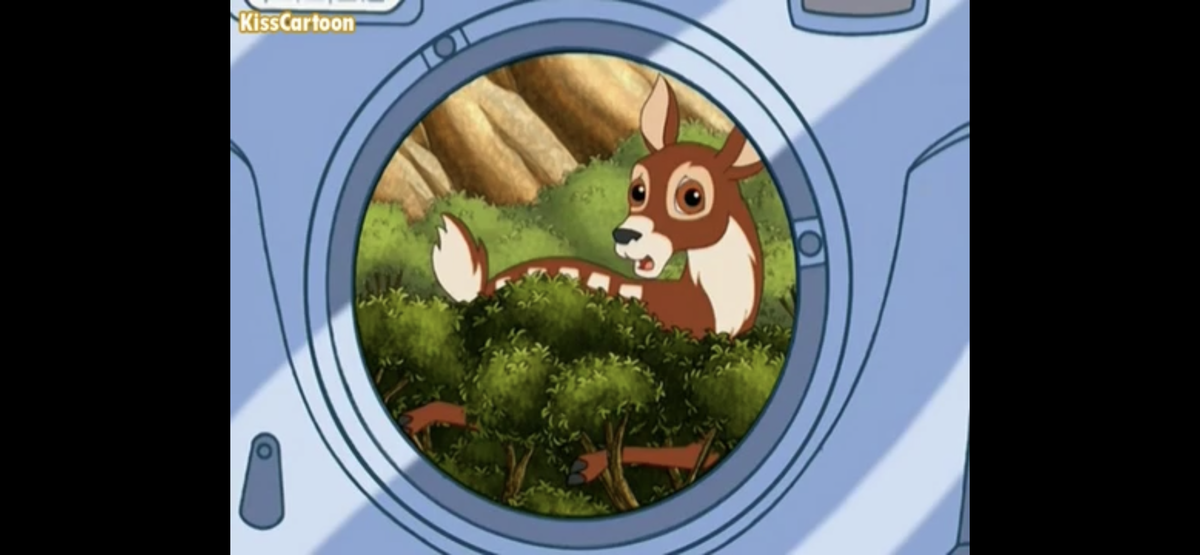 Baby White-Tailed Deer | Go, Diego, Go! Wiki | Fandom Baby White-Tailed Deer | Go, Diego, Go! Wiki | Fandom