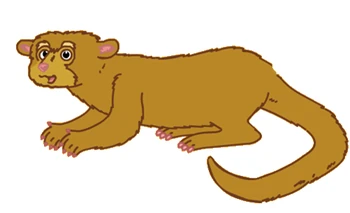 Kinkajou | Go, Diego, Go! Wiki | Fandom