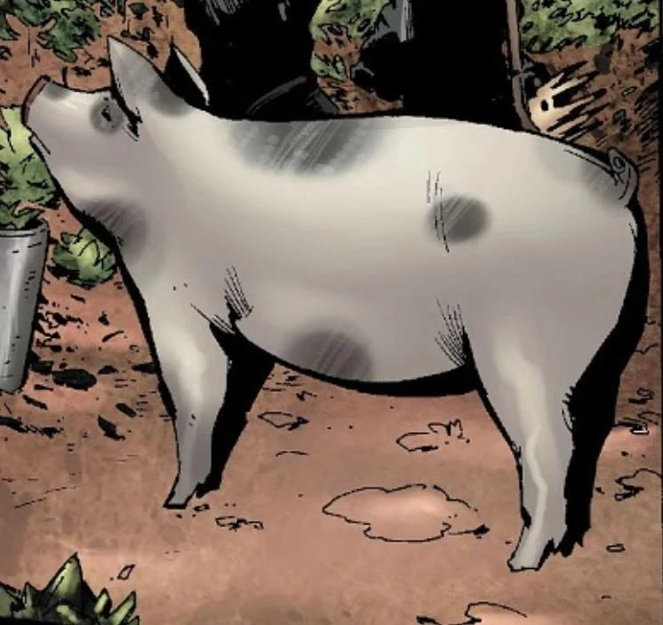 Cerdo | GearsPedia | Fandom