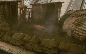 Cerdo | GearsPedia | Fandom