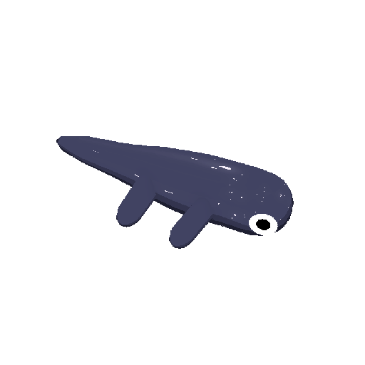 Zodiac Geckos | GeckoShop Wiki | Fandom