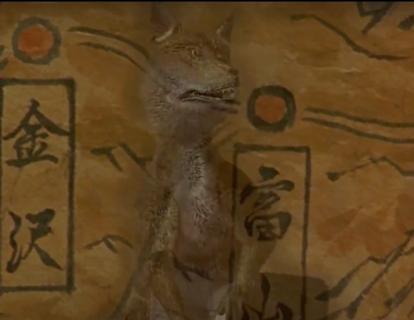 Sentaku-Gitsune | GeGeGe no Kitarō Wiki | Fandom