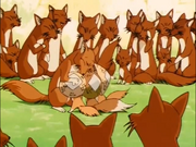 Kitsune | GeGeGe no Kitarō Wiki | Fandom