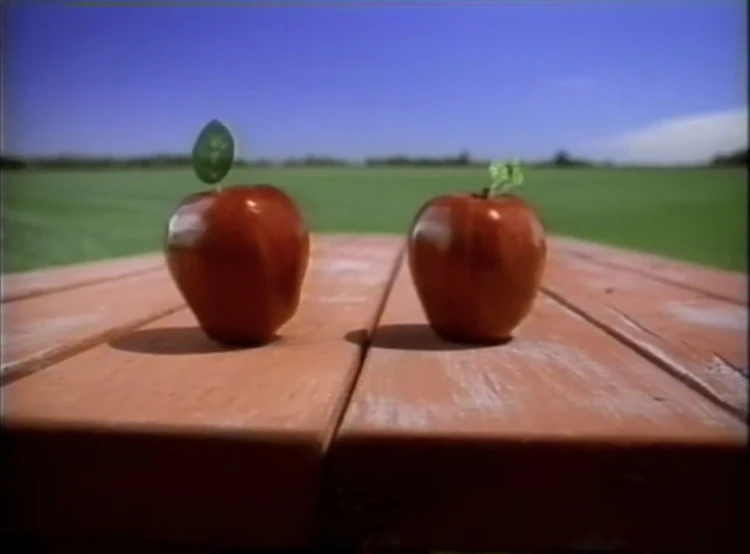 Category:1995 Commercials | Geico Wiki | Fandom