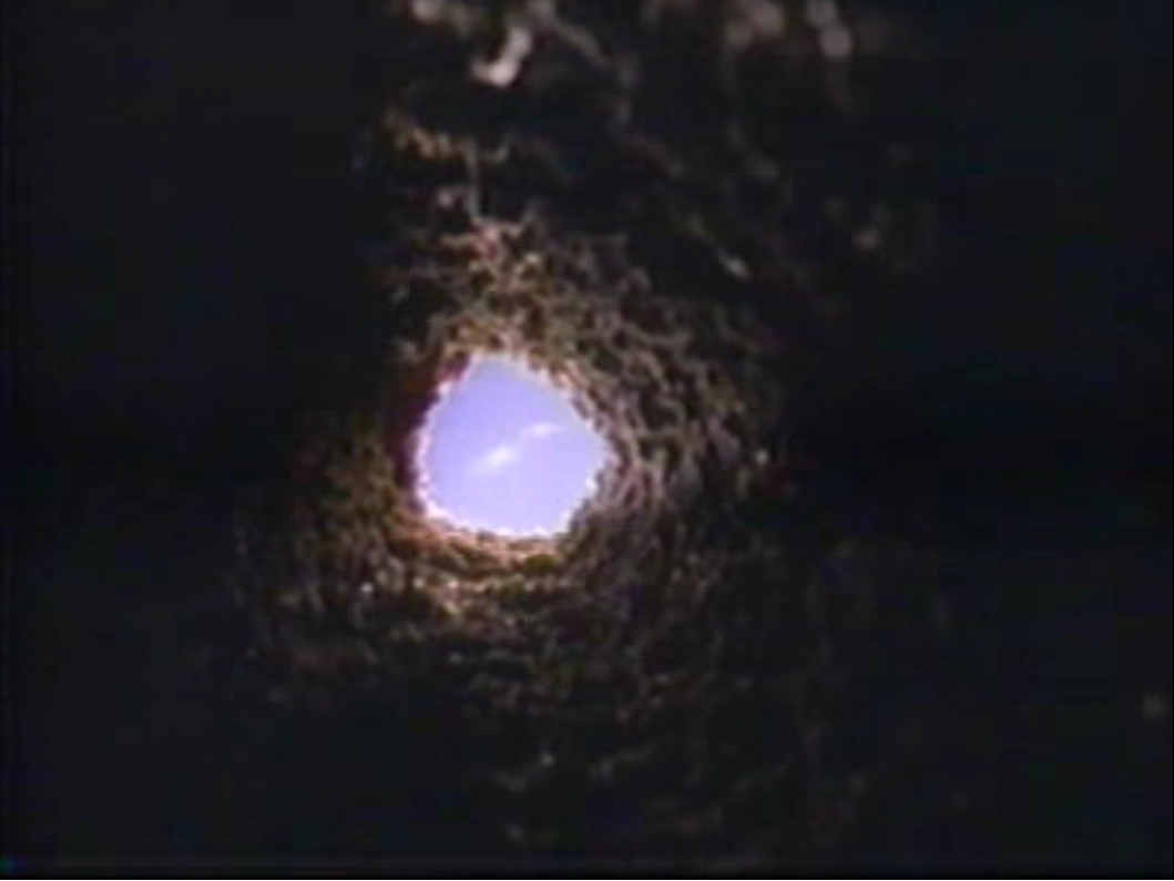 Rabbit Hole | Geico Wiki | Fandom