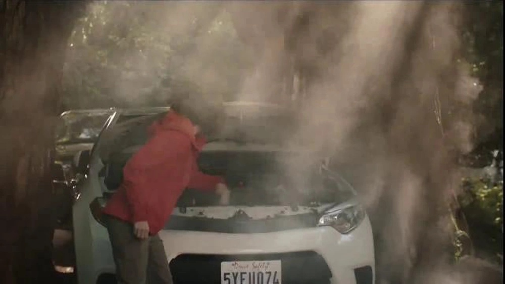 Tree | Geico Wiki | Fandom