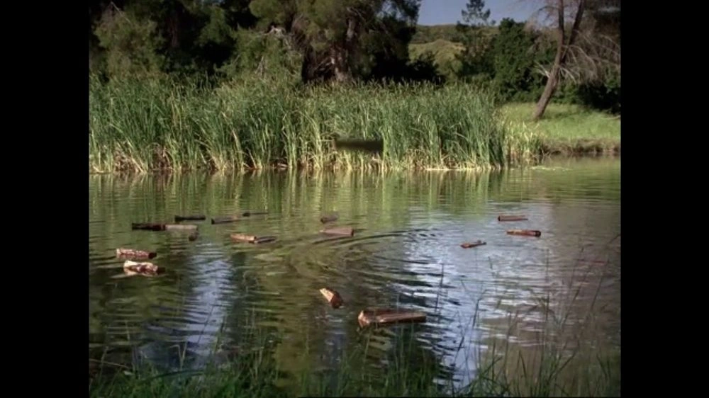 Woodchucks | Geico Wiki | Fandom