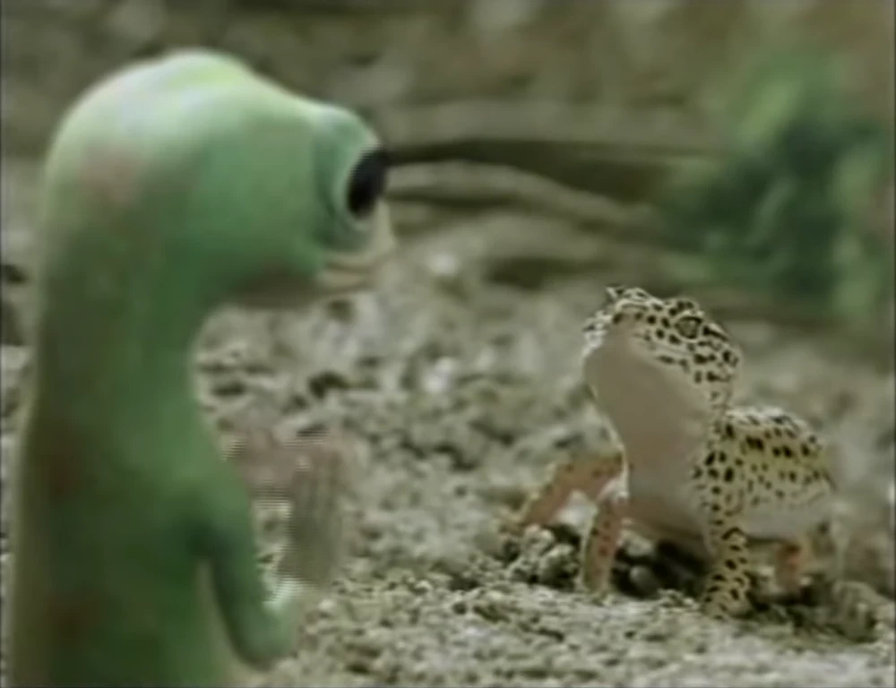 Small Talk | Geico Wiki | Fandom