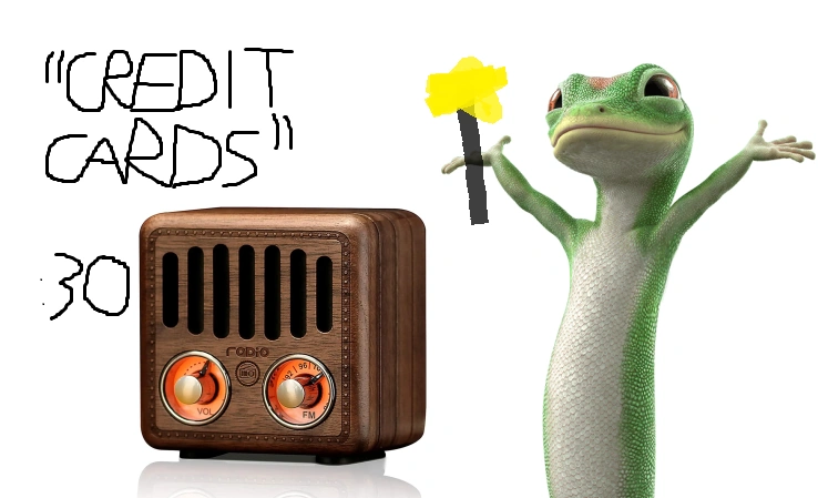 Who Knows Credit or Debit | Geico Wiki | Fandom