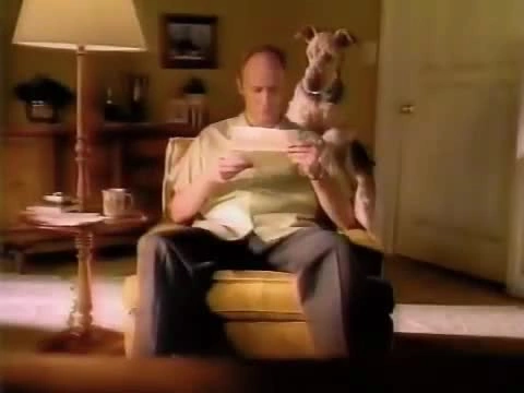 Laughing Dog | Geico Wiki | Fandom