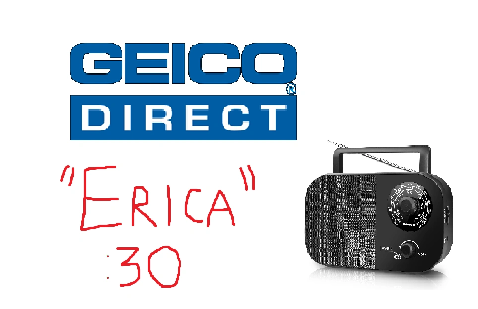 Erica Willis | Geico Wiki | Fandom