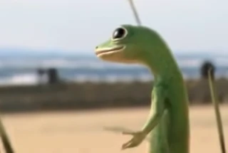 Loads of Friends | Geico Wiki | Fandom