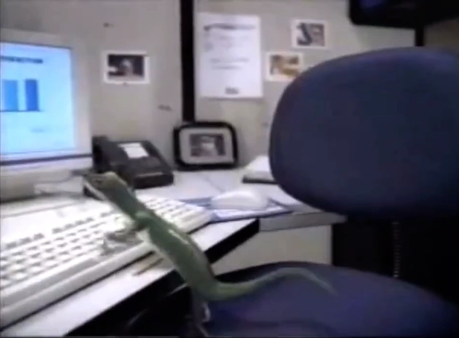 All Time High | Geico Wiki | Fandom