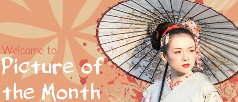 Picture of the Month | Geisha world Wiki | Fandom