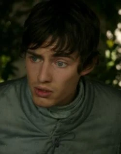 Tyrell servant | Wiki As Crônicas de Gelo e Fogo | Fandom