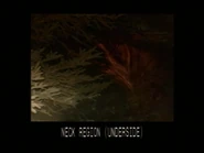 Wretched Hands | Gemini Home Entertainment Wiki | Fandom