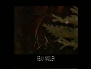 Wretched Hands | Gemini Home Entertainment Wiki | Fandom