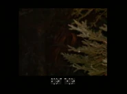 Wretched Hands | Gemini Home Entertainment Wiki | Fandom