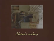 World's Weirdest Animals | Gemini Home Entertainment Wiki | Fandom