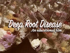 Deep Root Disease | Gemini Home Entertainment Wiki | Fandom