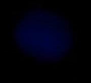 Neptune | Gemini Home Entertainment Wiki | Fandom