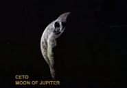 Crusader Probe Mission | Gemini Home Entertainment Wiki | Fandom