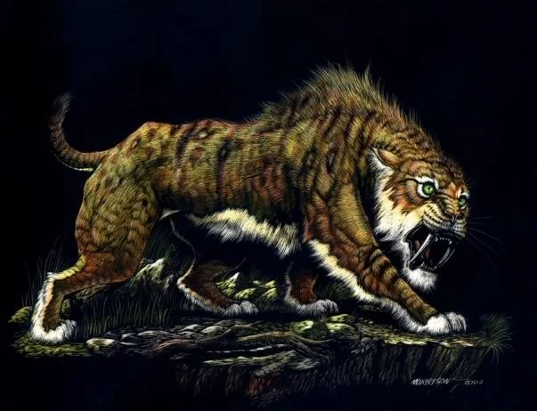 Ennedi Tiger | Gemipedia Wiki | Fandom