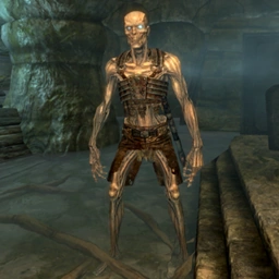Draugr (Skyrim) | Gemipedia Wiki | Fandom