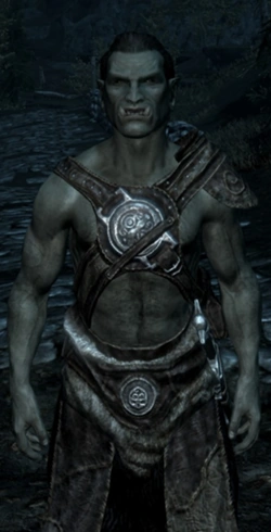 Orc (Elder Scrolls) | Gemipedia Wiki | Fandom