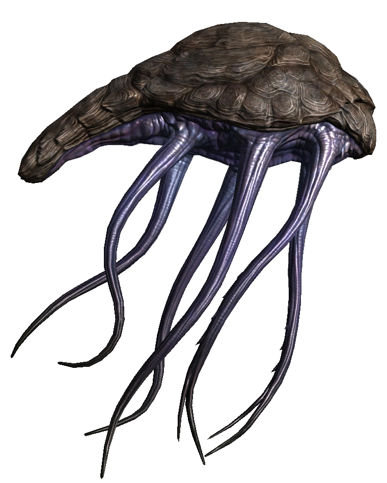 Category:Morrowind: Animals | Gemipedia Wiki | Fandom