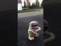 Groovin Mummy Dancer (Target Exclusive) | Gemmy Wiki | Fandom