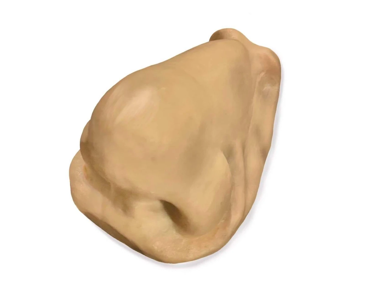 Crawling Nose | Gemmy Wiki | Fandom